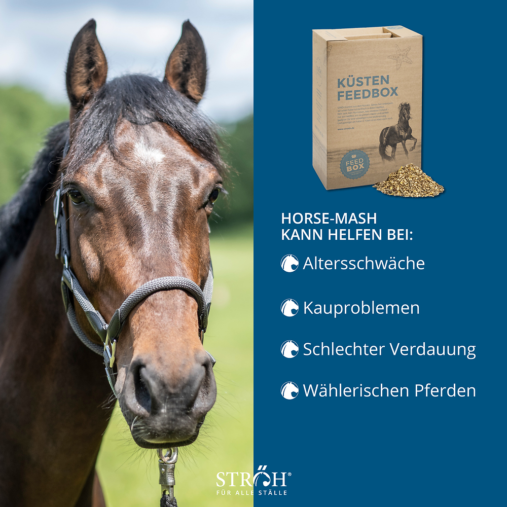 STRÖH - HORSE MASH 30kg Feedbox ab € 37,90 im Onlineshop bei Ströh ...