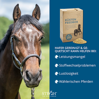 STRÖH - Deutscher Hafer gereinigt & gequetscht 28kg Feedbox ab € 31,00 ...